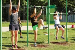 joint use pull-up station | fitness